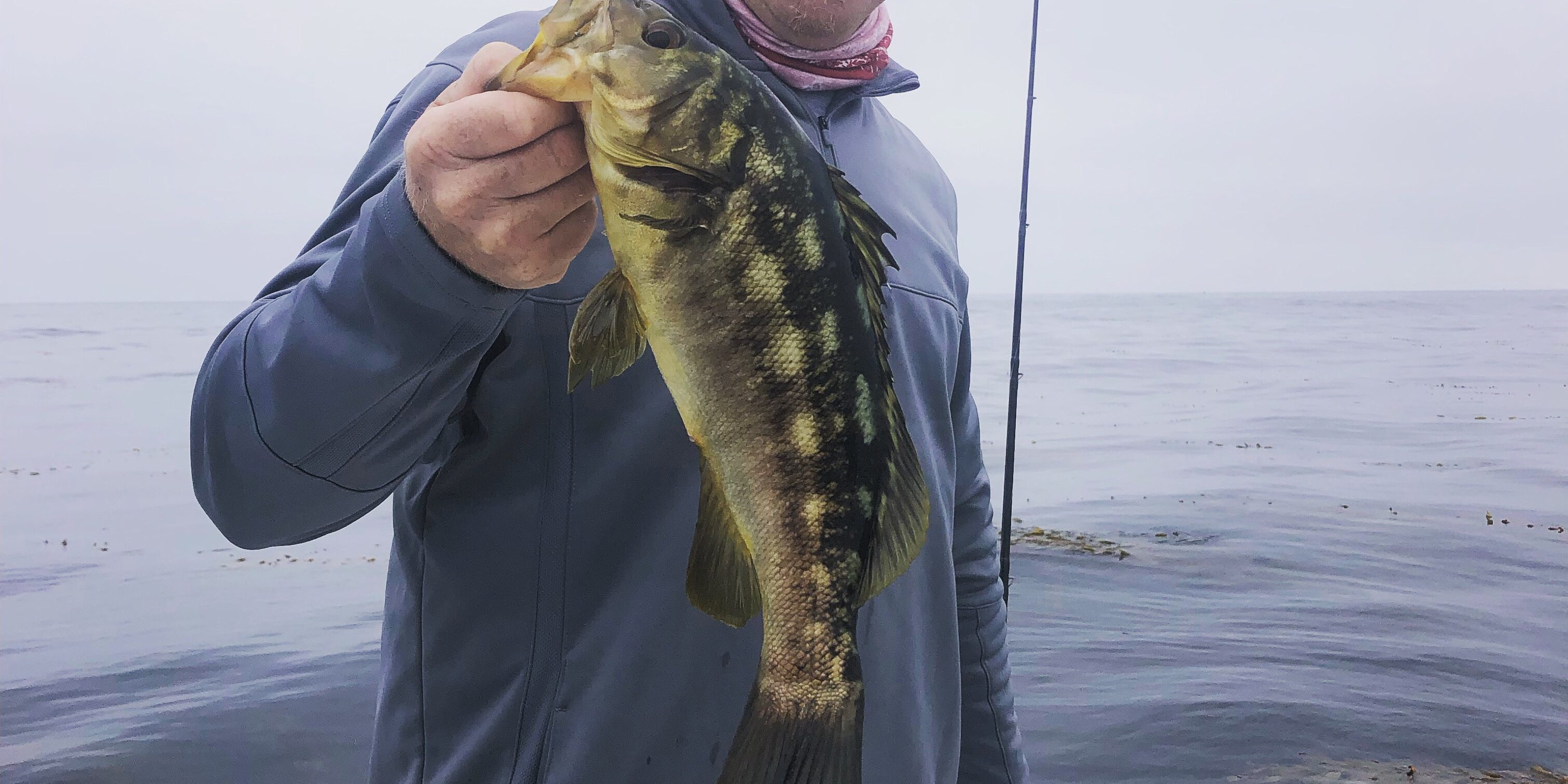 San Diego Summer Fish Report | Risen Tide Sportfishing